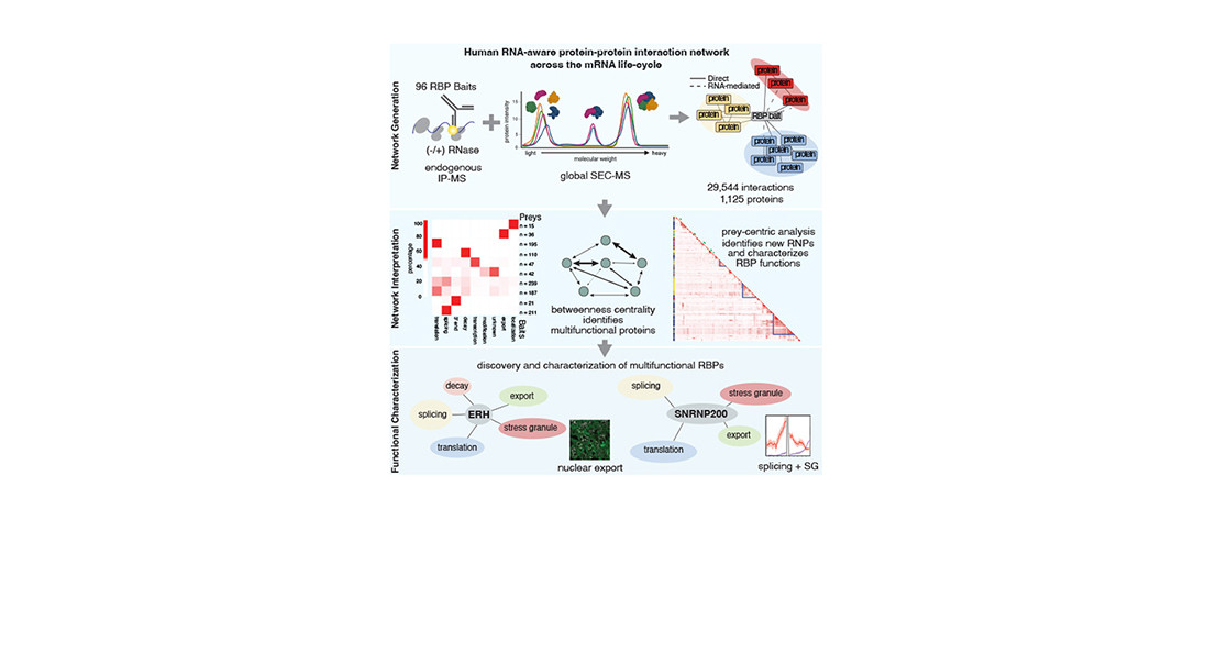 Student Q&A: Lena Street | Biology
